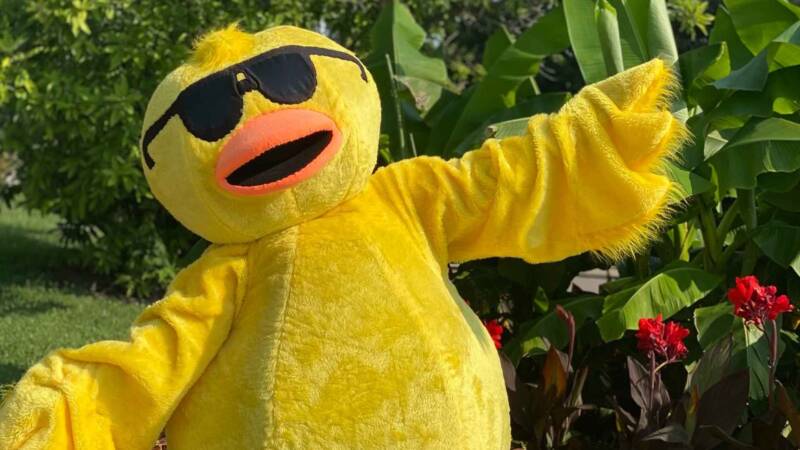 Meet Quacky the Spokesduck – Freestore Foodbank